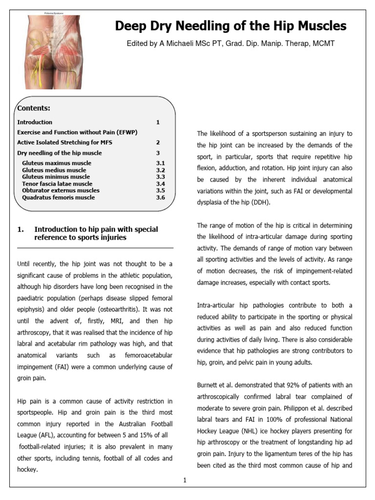 Notes Dry Needling of The Hip Muscles | PDF | Musculoskeletal System ...