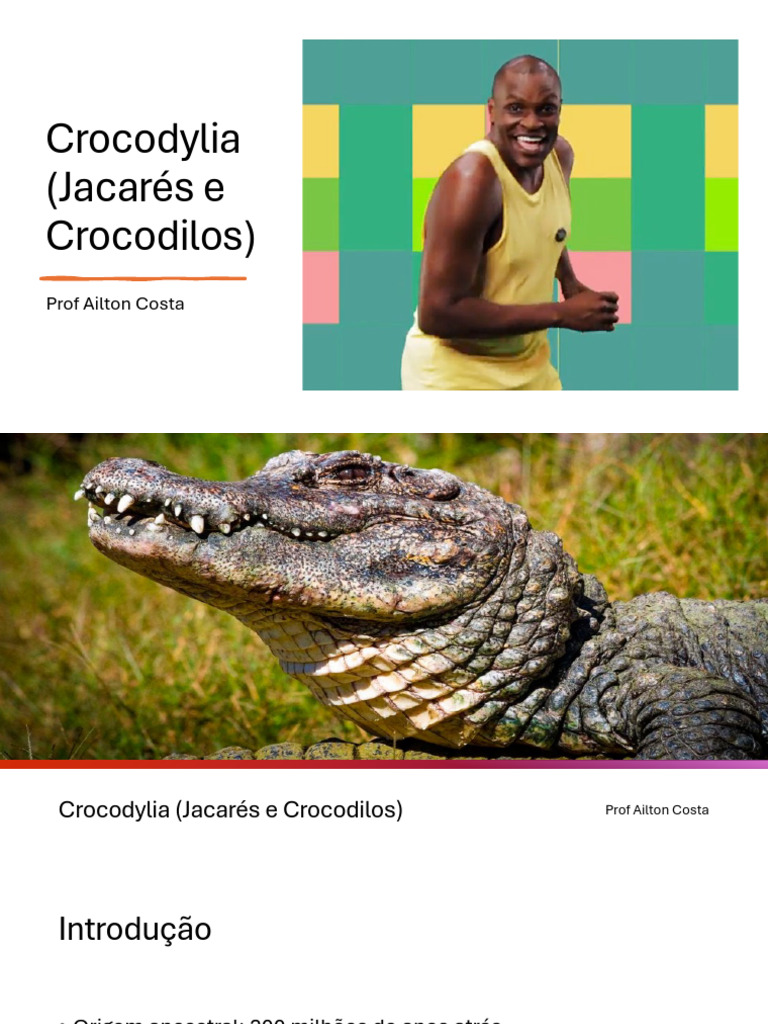 Crocodylia: Características e Conservação | PDF