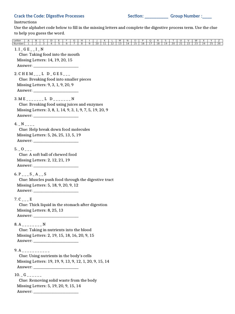 Digestive Process Code Puzzle | PDF