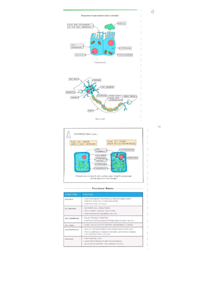 Biology - o Level | PDF