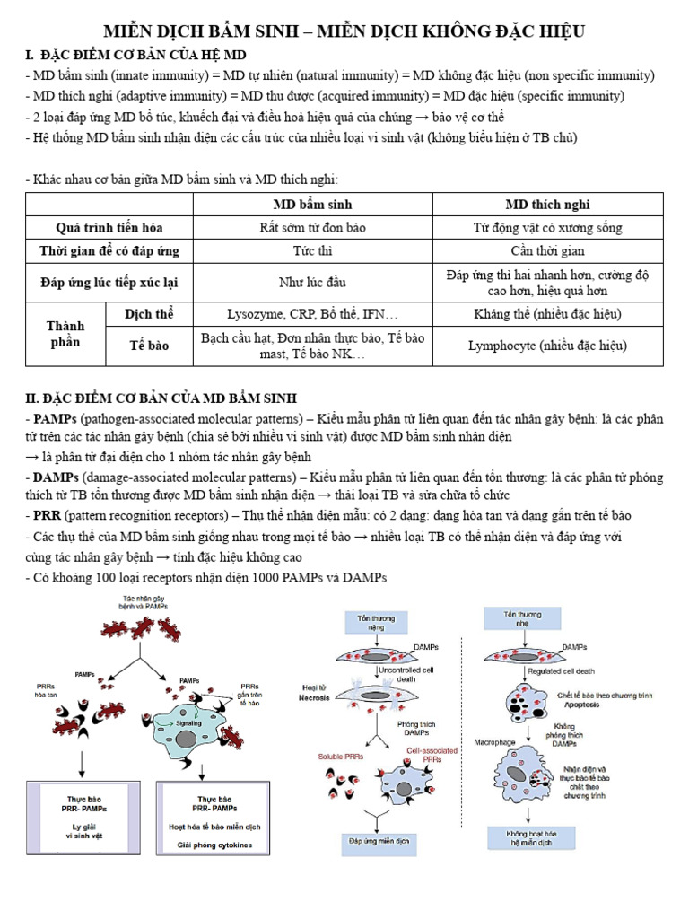 MIỄN DỊCH BẨM SINH | PDF