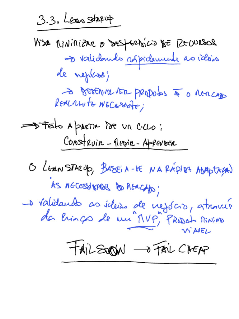 3 3 Lean Startup | PDF