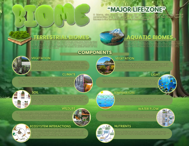 Biome Drag and Drop Digital Worksheet in Dark Gray and Yellow ...