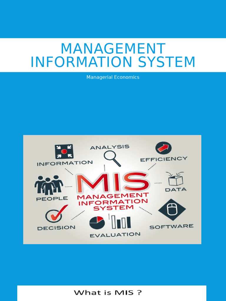 Mis Information System | PDF