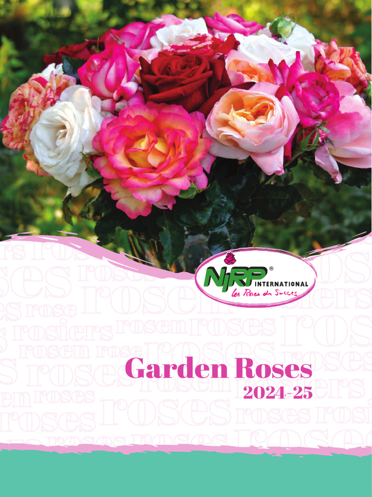 NIRP Catalogue Garden Roses 2024 25 English Web | PDF | Rose | Perfume