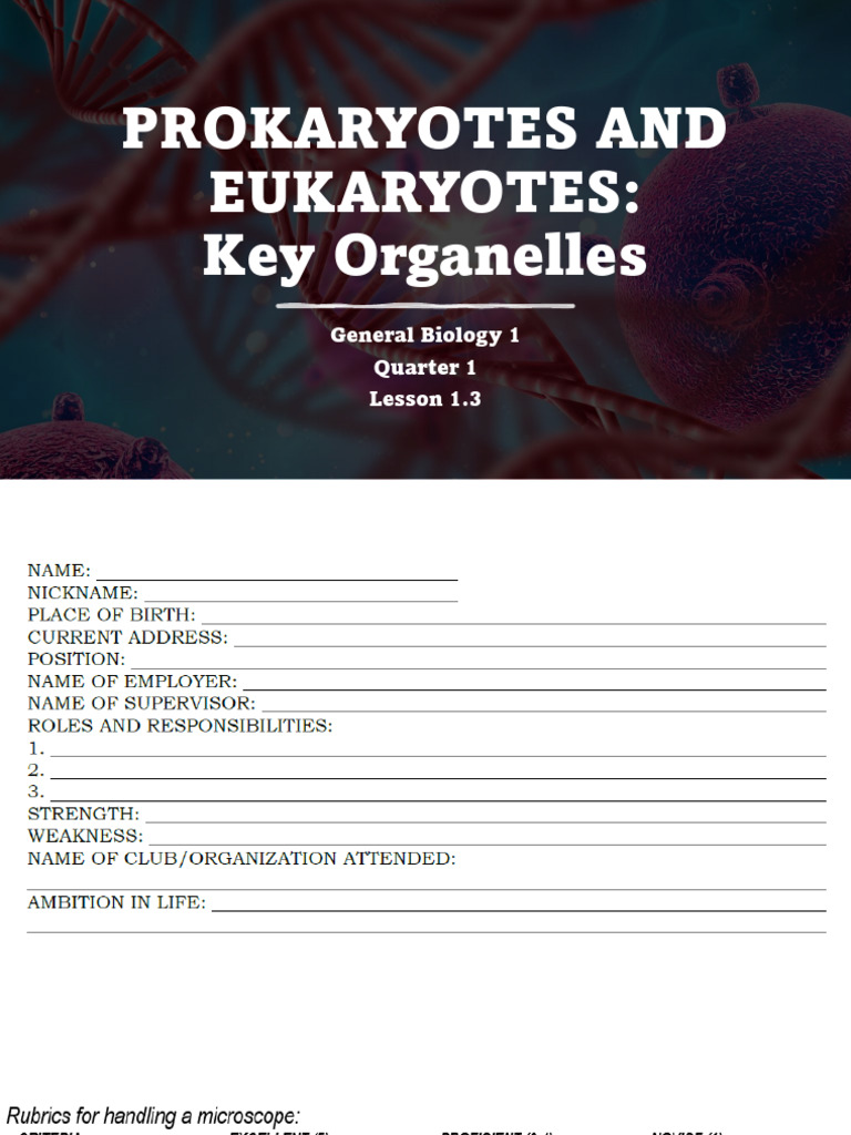 1 - 1.3 Prokaryotes and Eukaryotes - Structures & Function | PDF | Cell ...