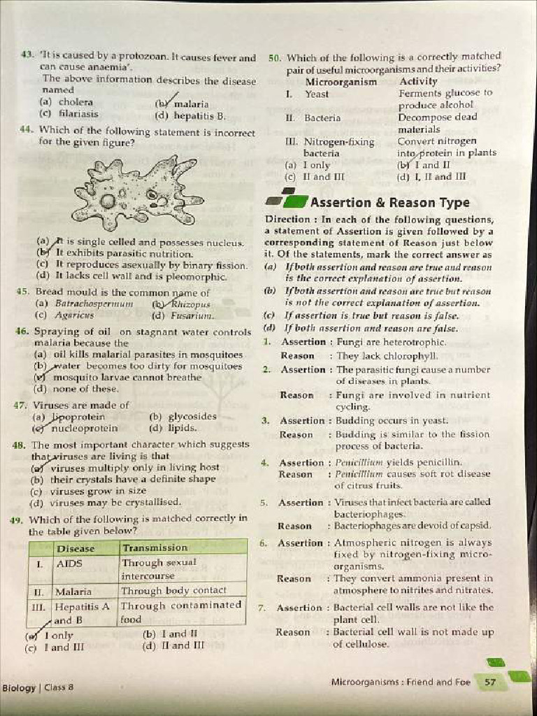 Bio Class 8 IMP-30 | PDF
