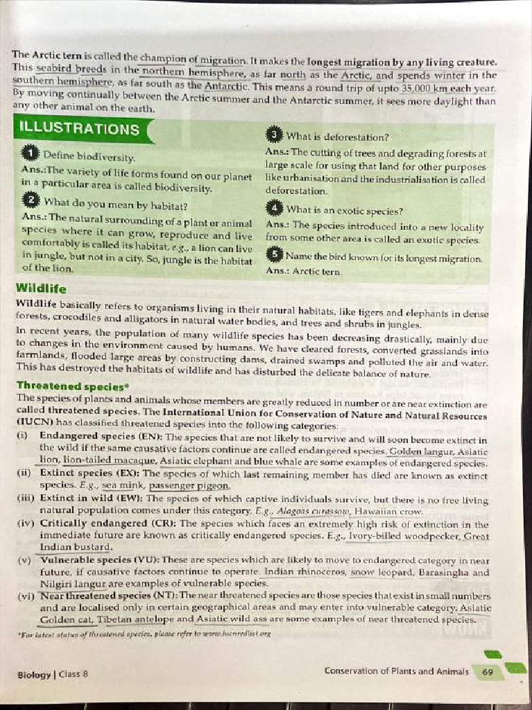 Bio Class 8 IMP-36 | PDF