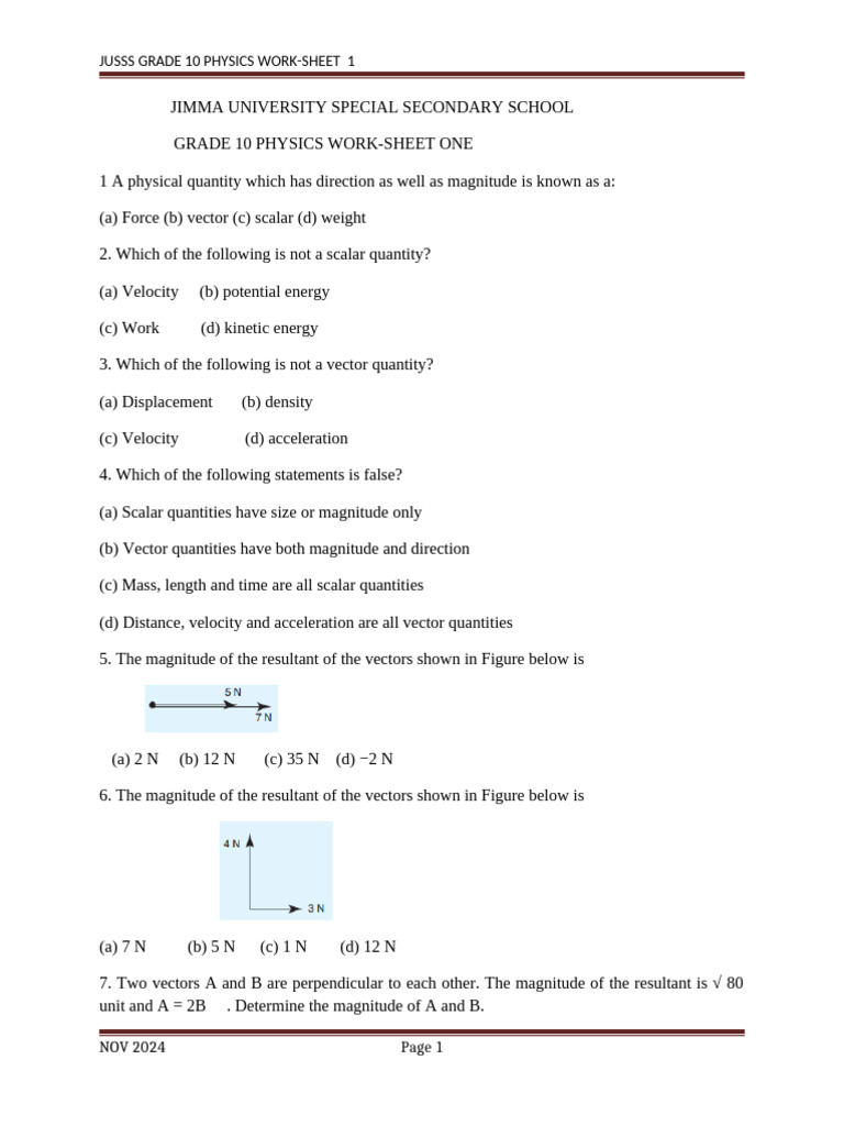 Grade 10 Phy Work Sheet 1 | PDF | Euclidean Vector | Velocity