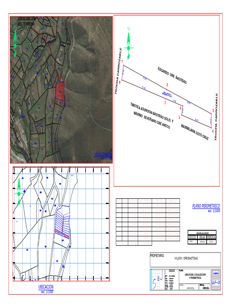 Desmembrar Wilson PDF | PDF