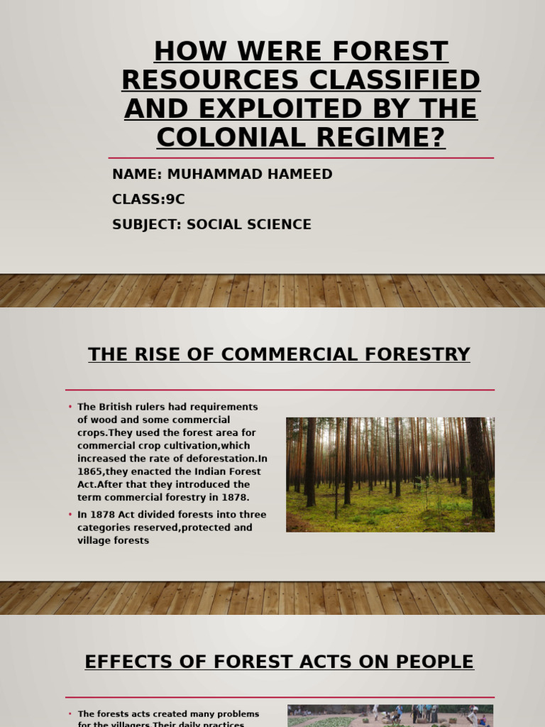 How Were Forest Resources Classified and Exploited by | PDF