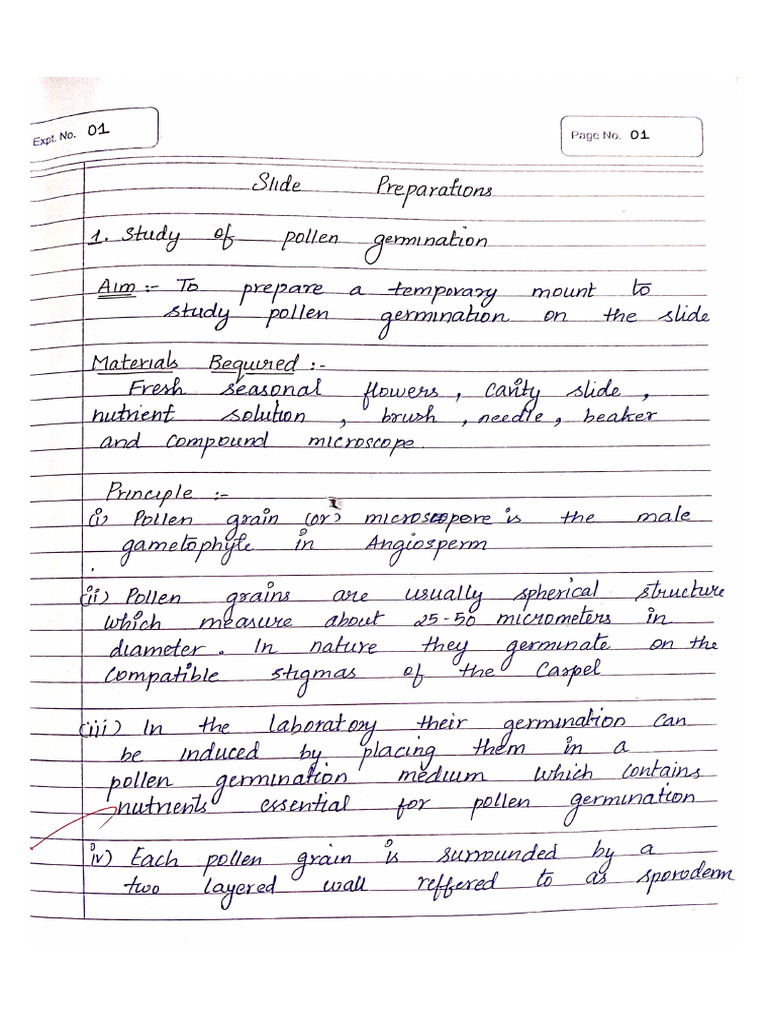 Class 12 Biology Record | PDF