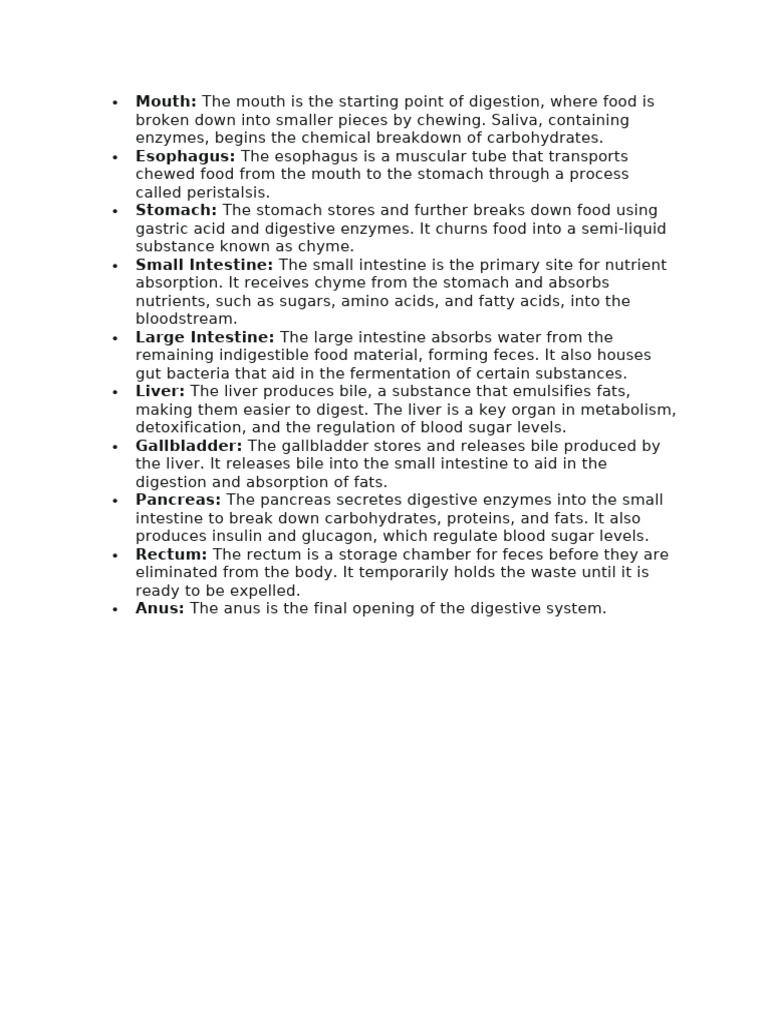 FUNCTIONS OF Digestive System | PDF