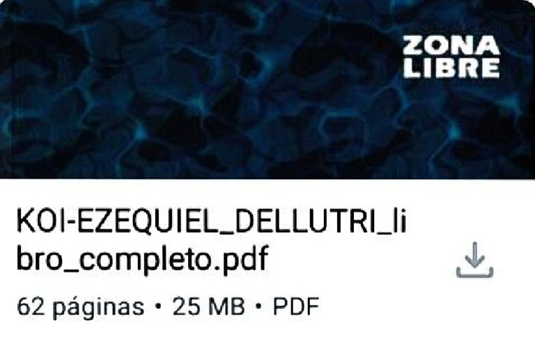 PDFReader 20250706 1115 | PDF