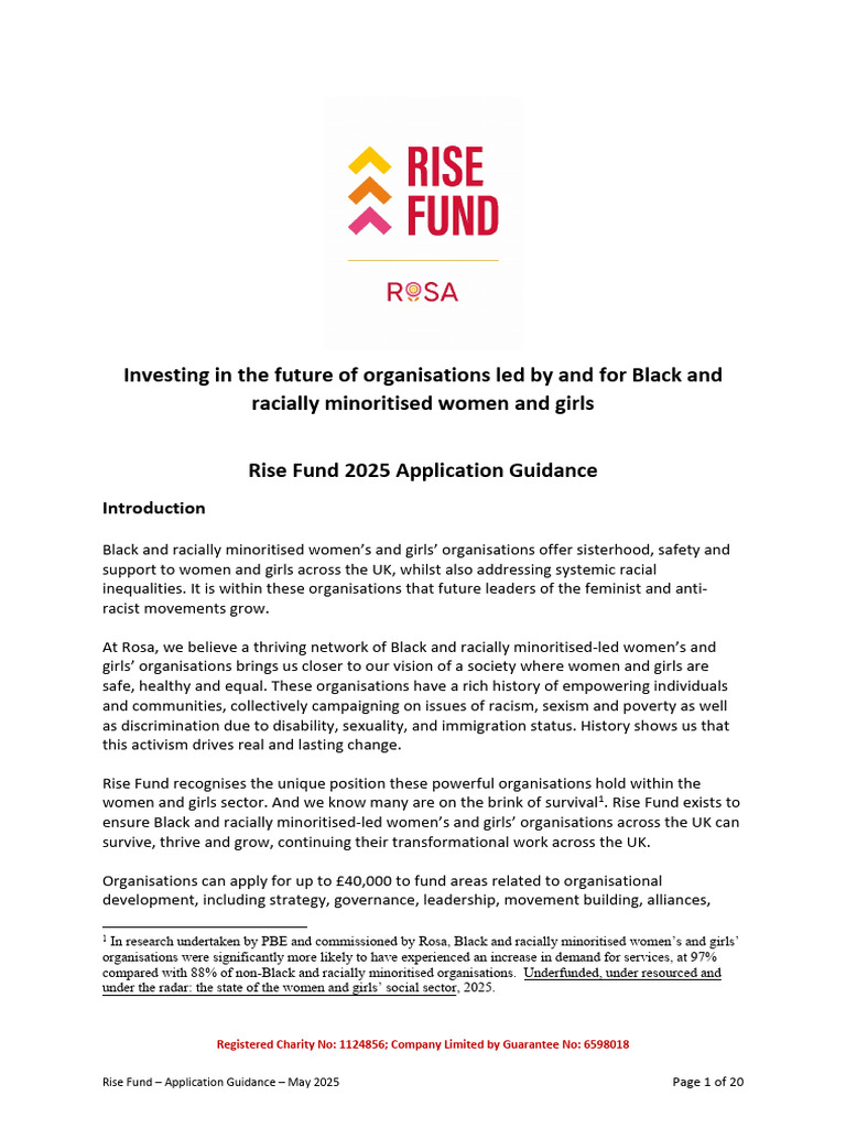 Rosa Rise Fund 2025 Application Guidance | PDF | Charitable ...