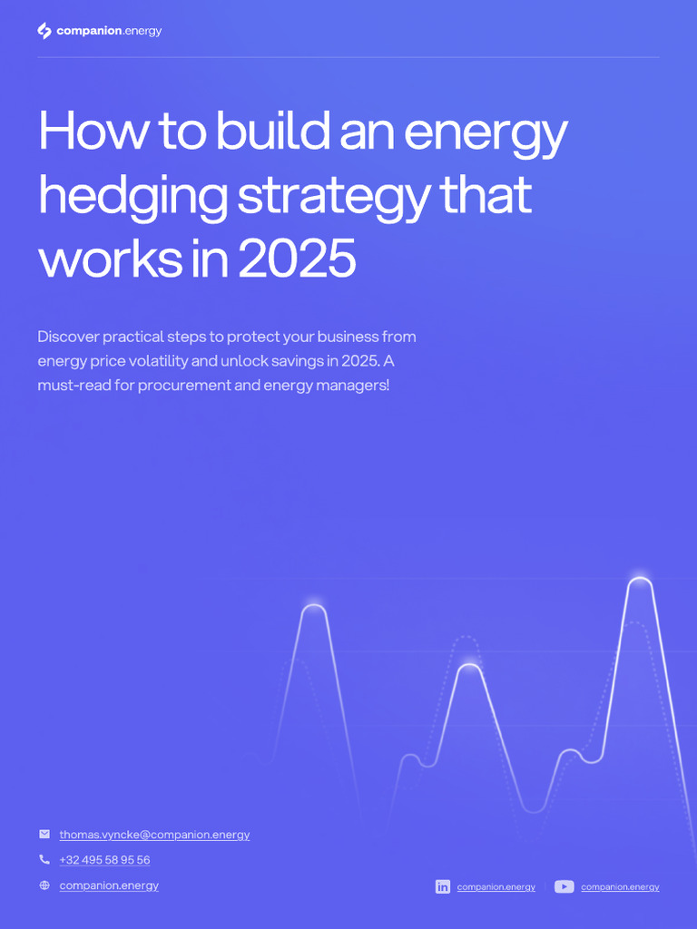 How To Build An Energy Hedging Strategy That Works in 2025 | PDF ...