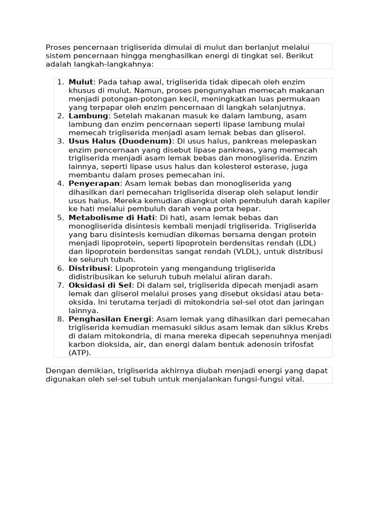 Proses Pencernaan Trigliserida Dimulai Di Mulut Dan Berlanjut Melalui ...