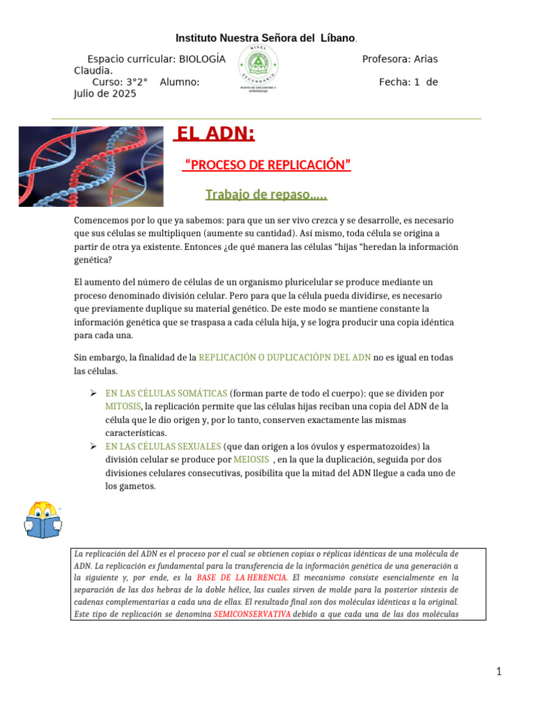 EL ADN. Replicación, Repaso | PDF | Replicación De Adn | Biología Celular)