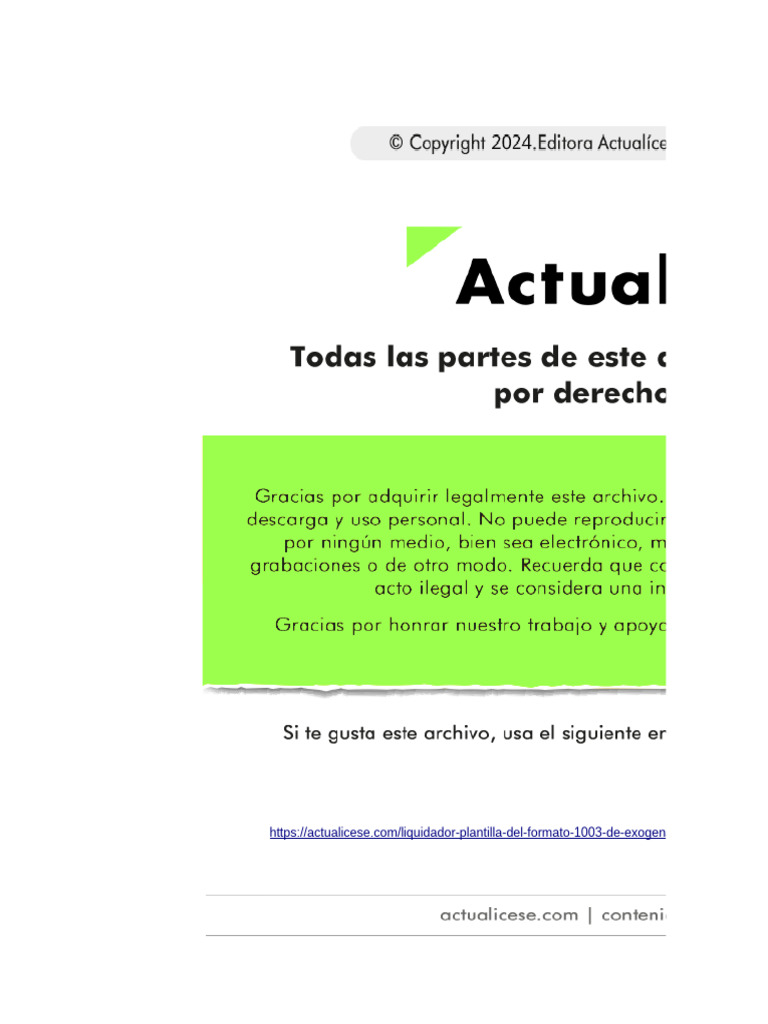 Plantilla Del Formato 1003 AG 2023 | PDF | Estado de resultados | Impuestos