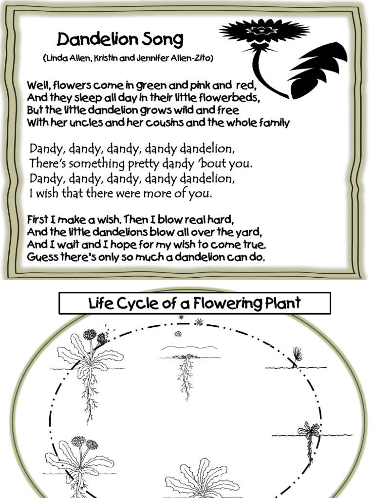 Dandelion Lessons