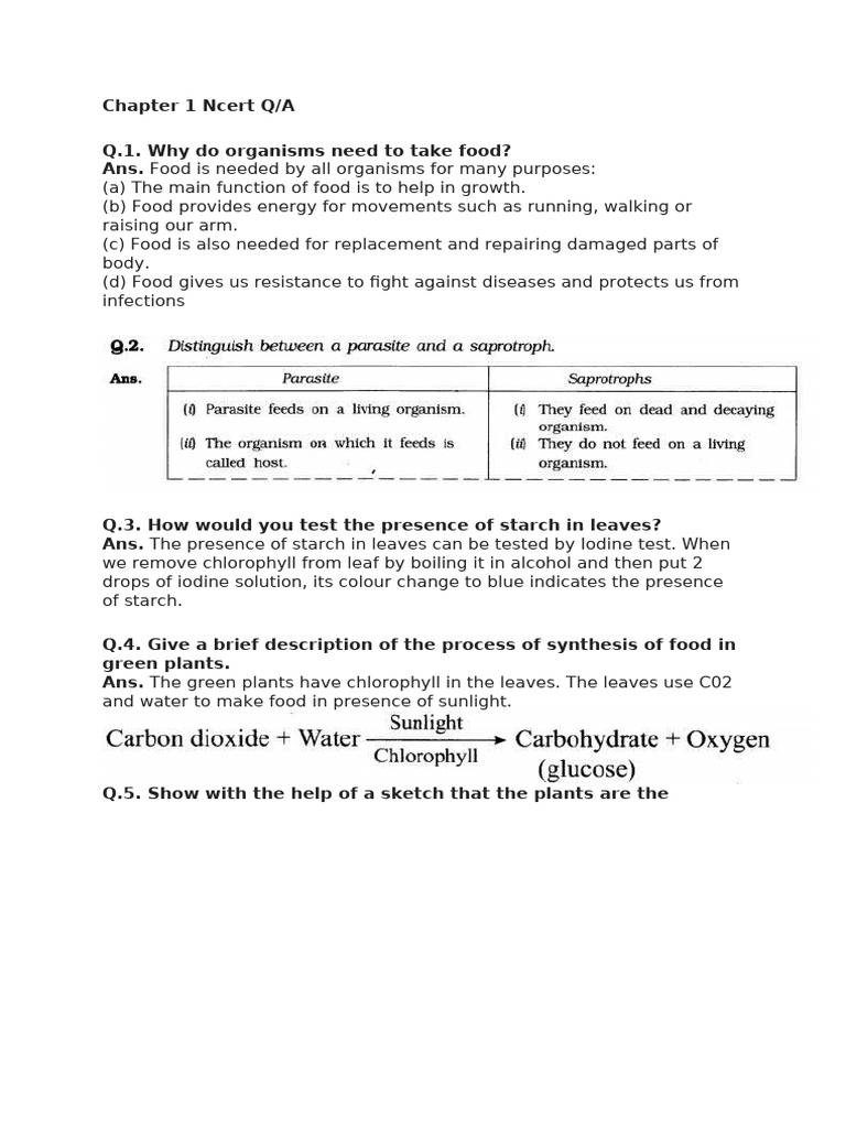 Class 7 Chapter 1 Ncert QA | PDF | Leaf | Plants