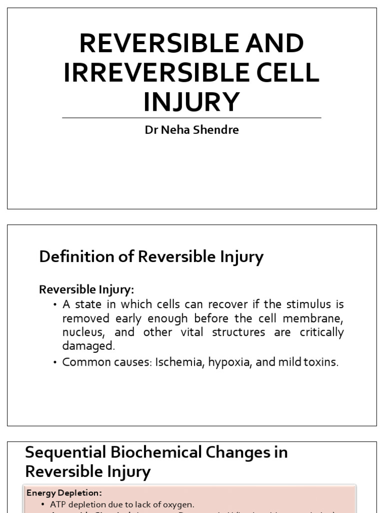 Reversible and Irreversible Cell Injury - 030356 | PDF | Reactive Oxygen Species | Mitochondrion