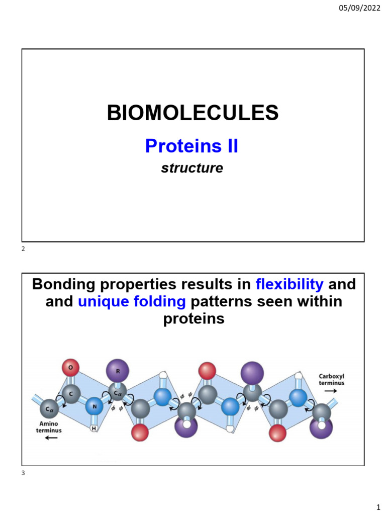 BIO211 - Lec 7 - Biomolecules - Proteins II - Structure | PDF | Protein ...