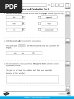 Year 5 SPAG Test | PDF
