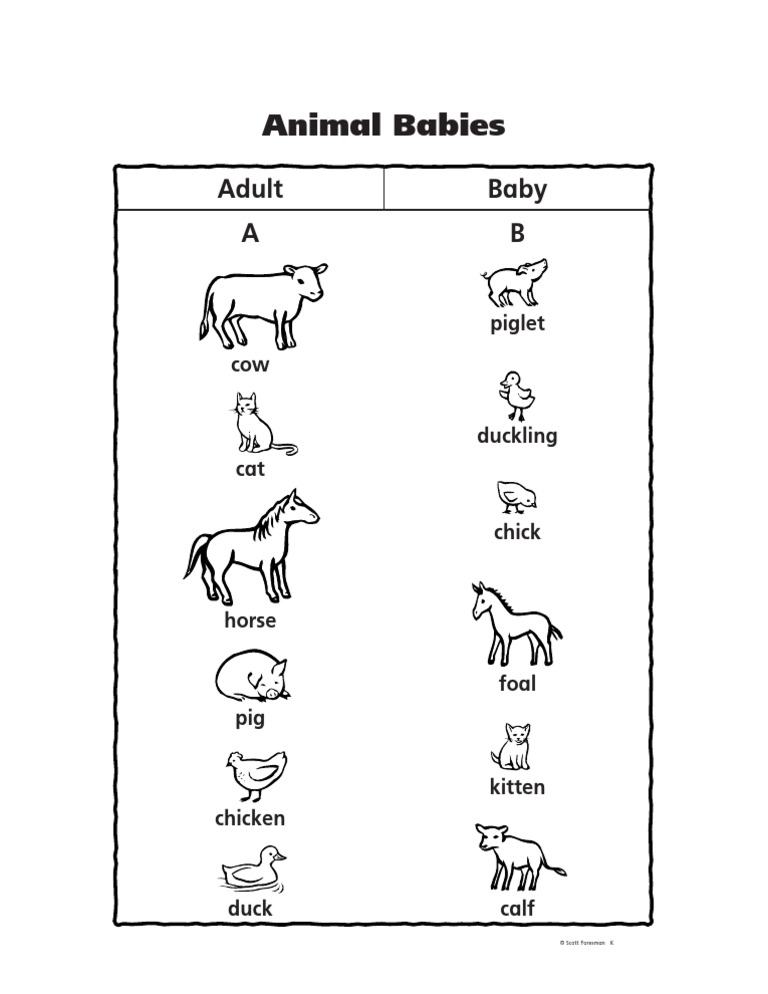 Matching Baby Animals | PDF