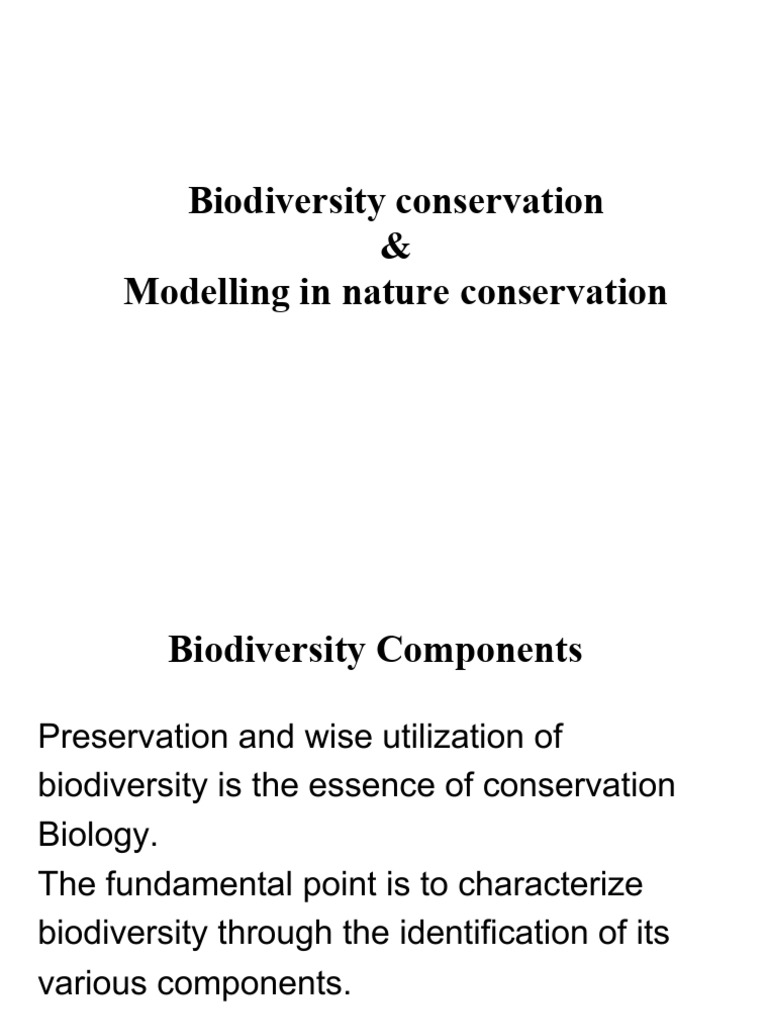 Modelling in Nature Conservation - 25.04.2025 | PDF | Conceptual Model ...