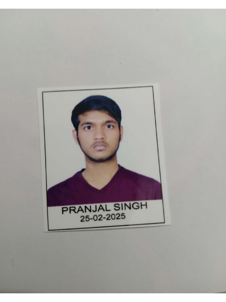 Pranjal JPG | PDF