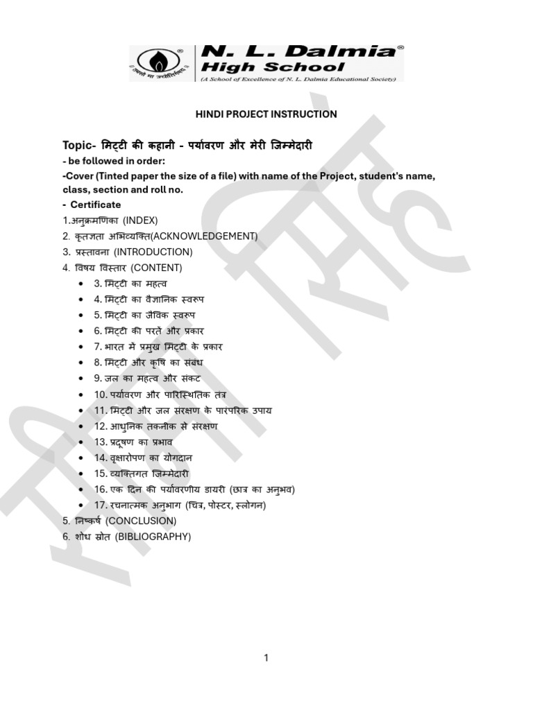 Hindi Project Instruction | PDF