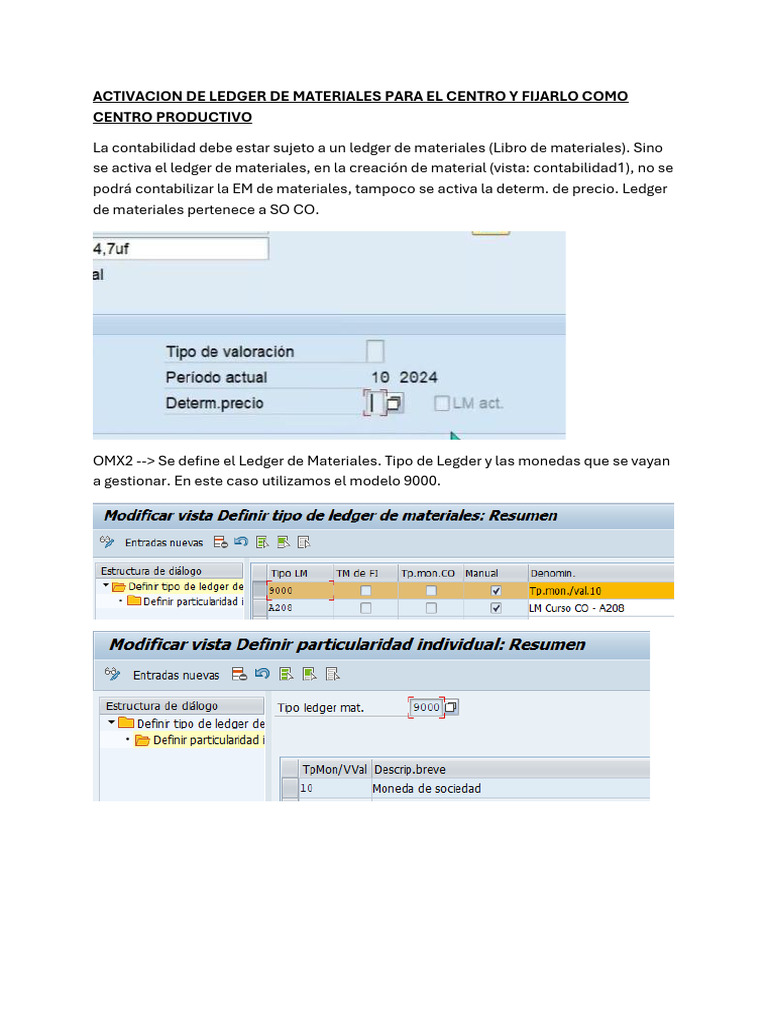Activacion de Ledger de Materiales | PDF