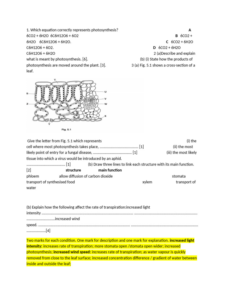 Photosynthesis | PDF | Leaf | Stoma