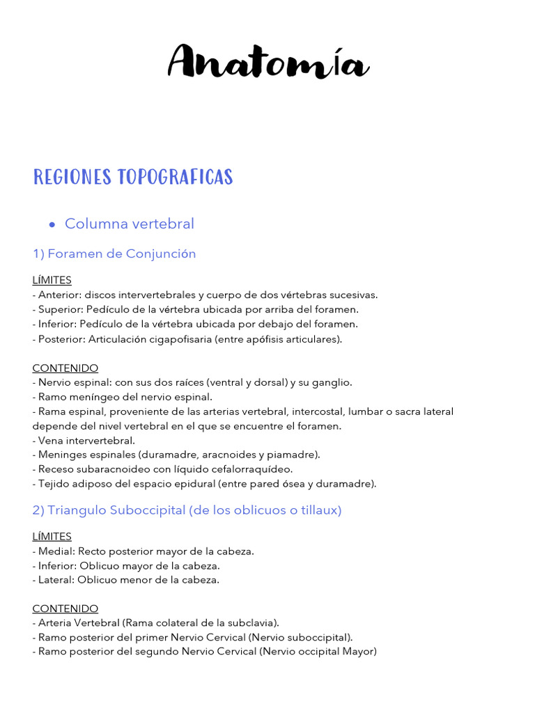 Topografia 2 | PDF | Tobillo | Anatomía del miembro inferior