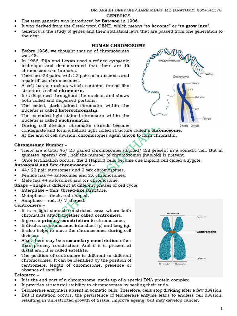 Genetics Notes for MBBS 1st Year | PDF | Genetic Disorder | Chromosome