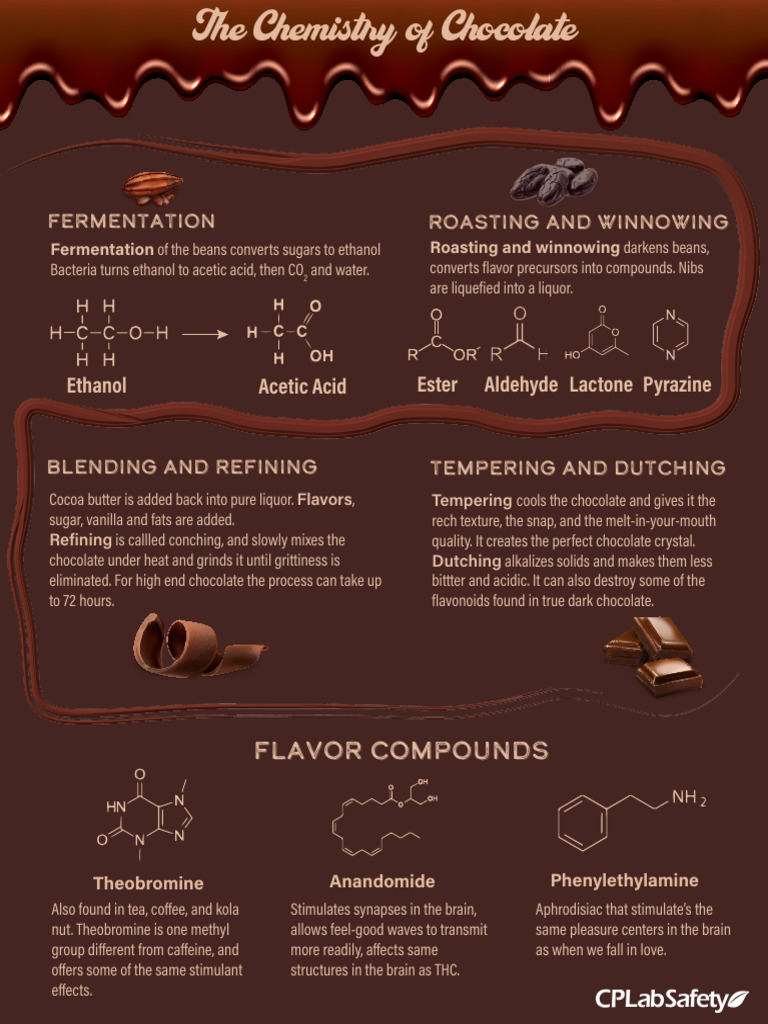 Chemistry of Chocolate Infographic Logo | PDF