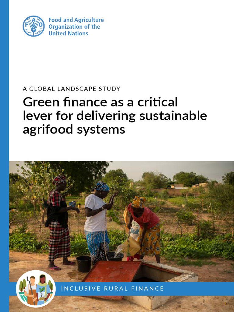 Green Finance As A Critical Lever For Delivering Sustainable Agrifood Systems | PDF ...