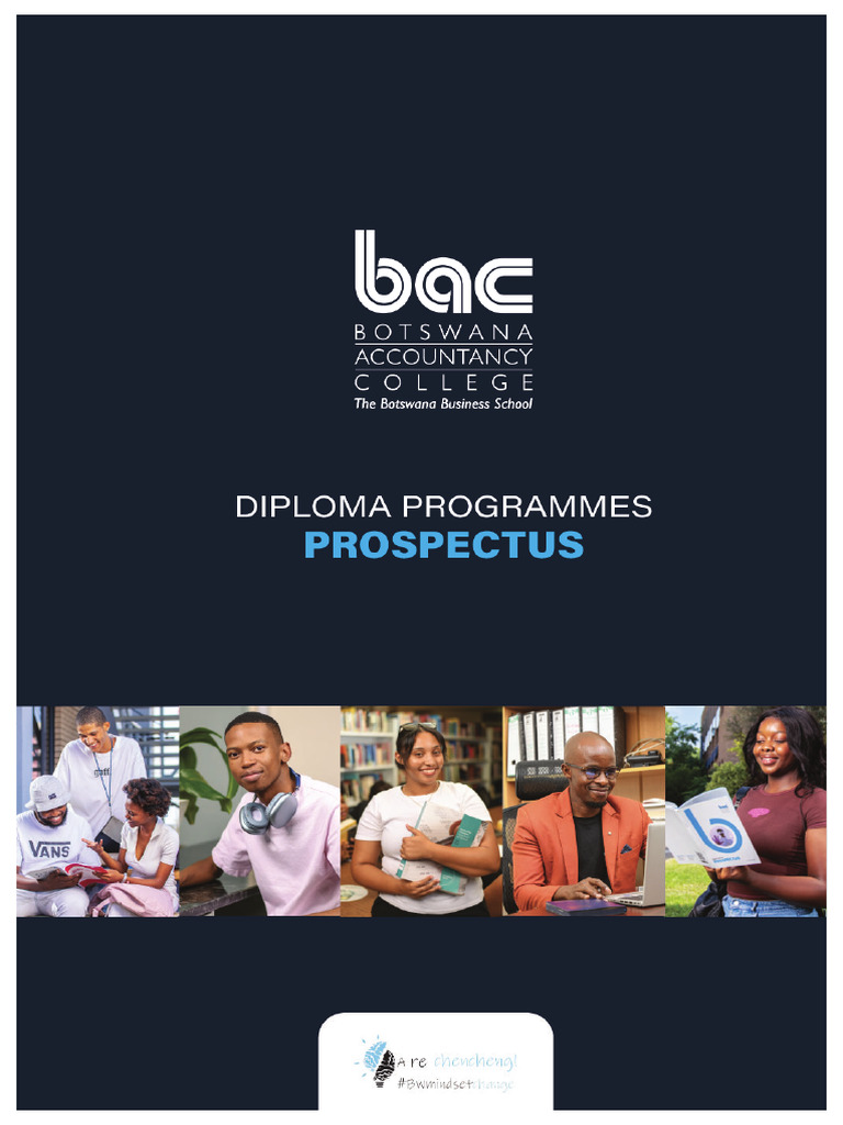 Diploma Programmes Copy 2 | PDF