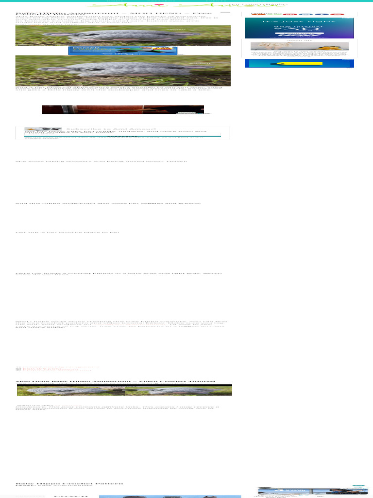 Baby Hippo Amigurumi - MOO DENG - Free Crochet Pattern - Ami Amour | PDF | Crochet