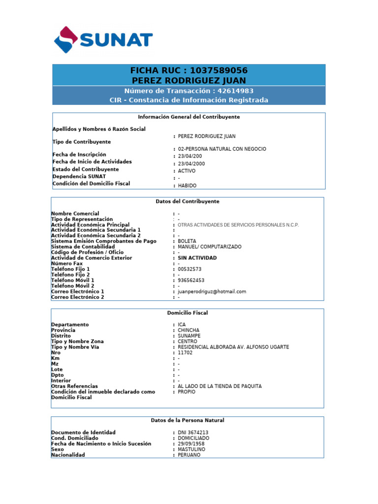 Ficha Ruc Juan Perez | PDF | Industrias de servicio