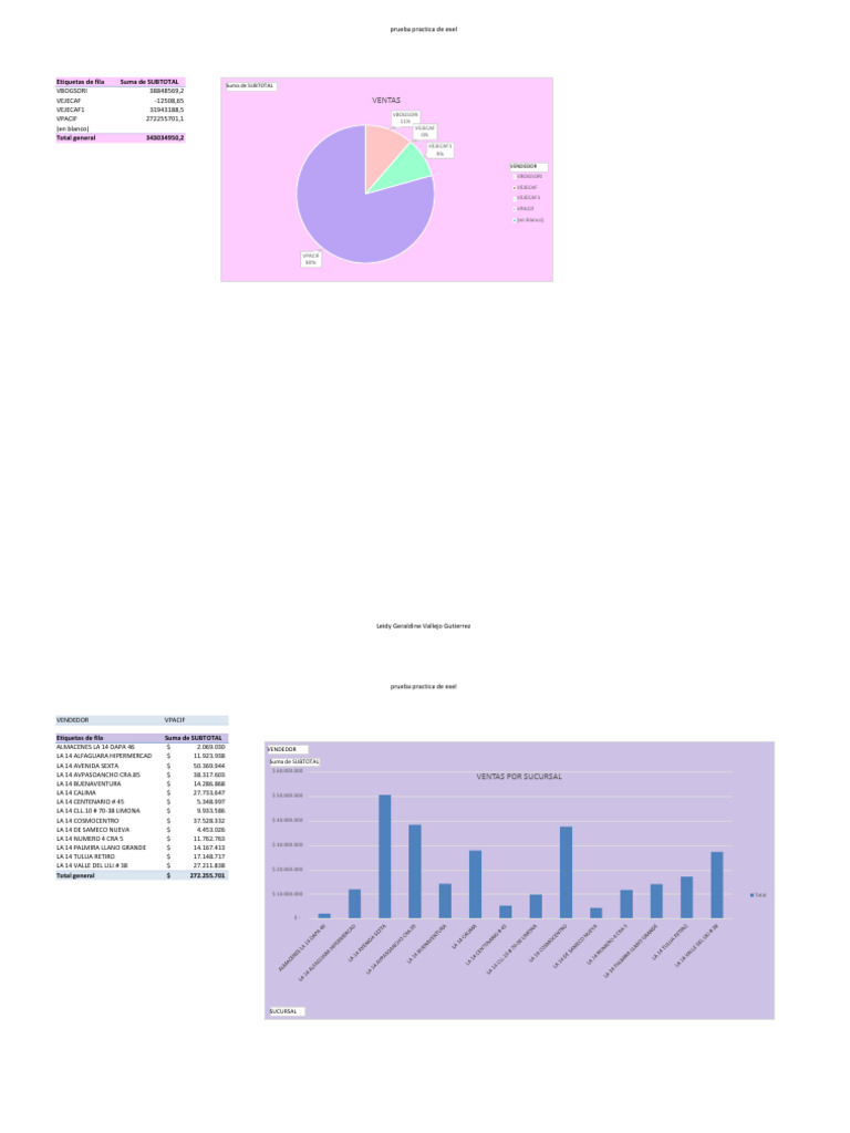 Prueba Practica de Exel - Leidy Vallejo | PDF
