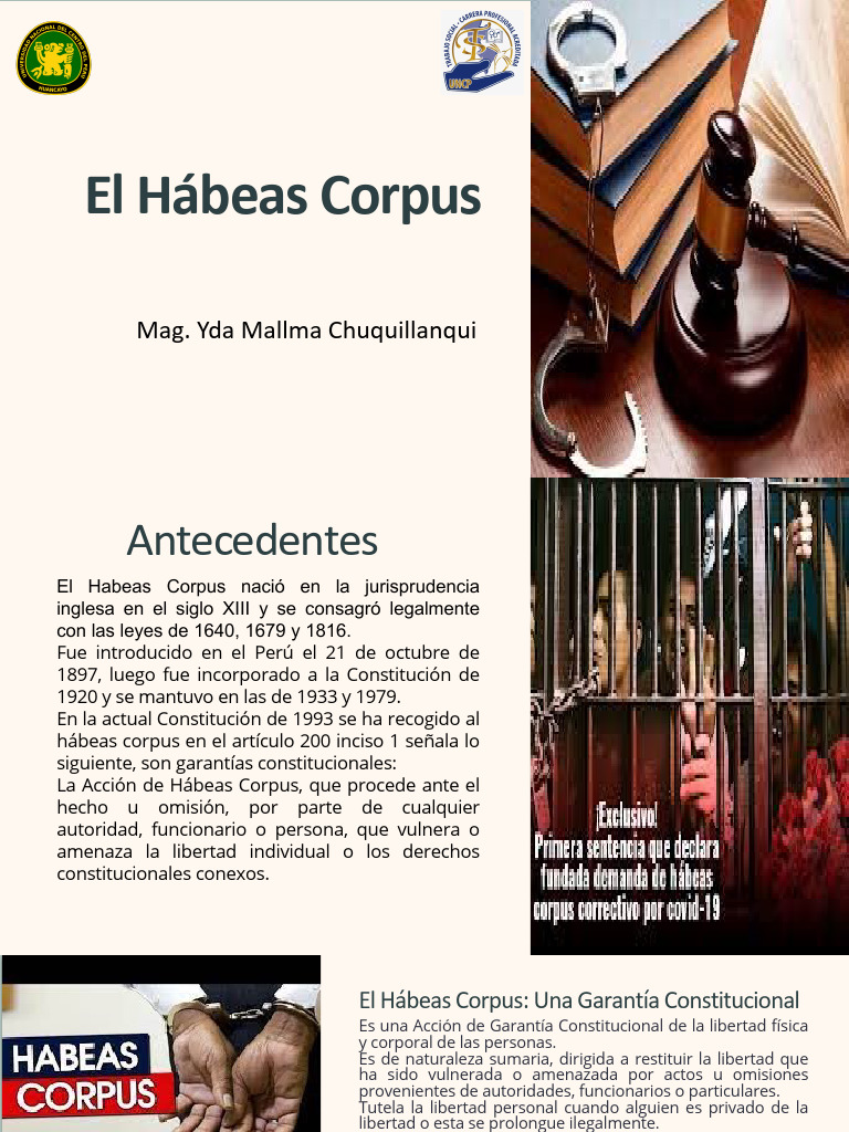 Tipos de Hábeas Corpus en Perú | PDF | Habeas corpus | Derecho ...