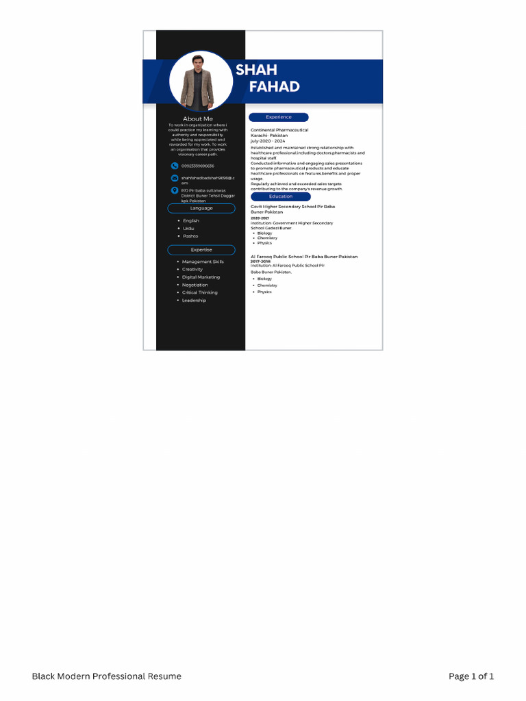 Black Modern Professional Resume | PDF