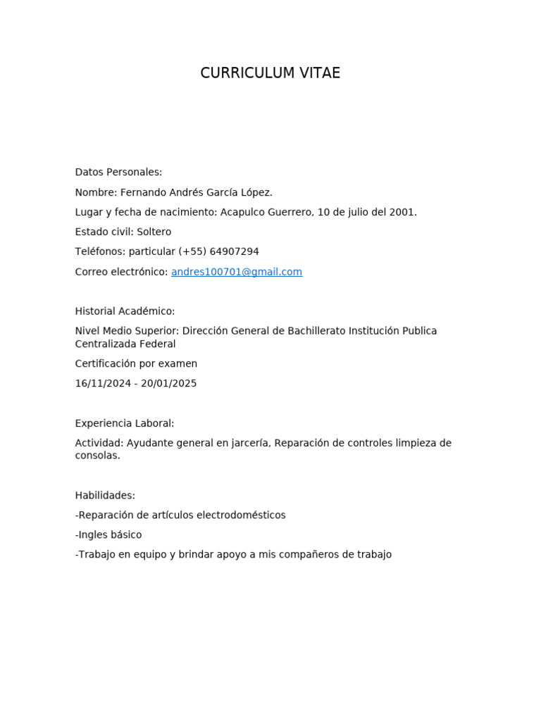 Curriculum Vitae 2 Corregido | PDF