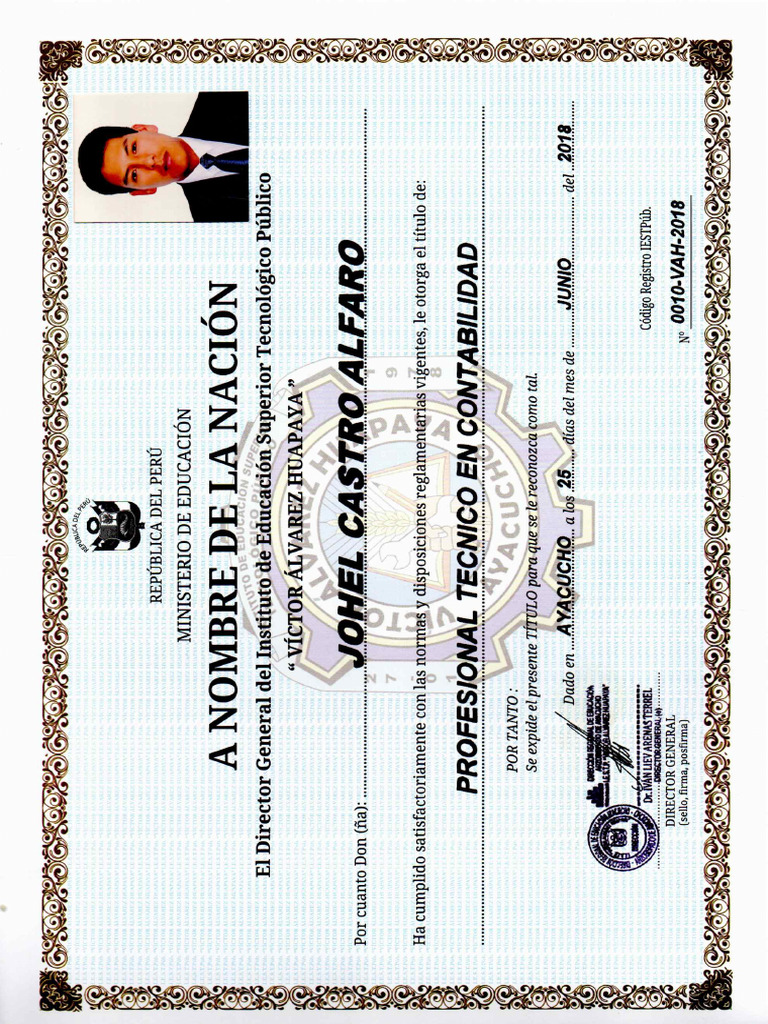 Sustento Titulo n2CIUBS | PDF