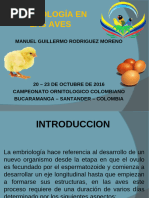 Desarrollo embrionario del pollo | PDF | Embrión | Huevo