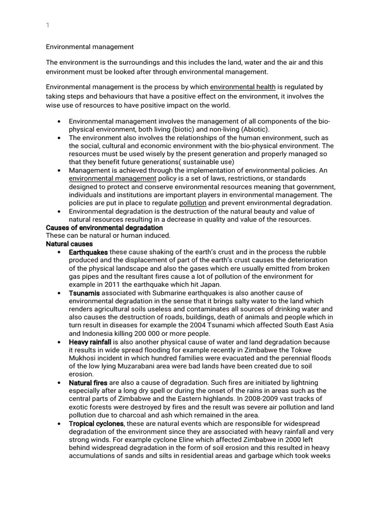 Environmental Management Overview | PDF