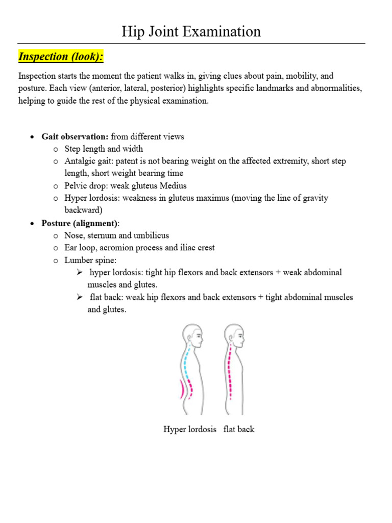 Comprehensive Hip Joint Examination Guide | PDF | Pelvis | Human Leg