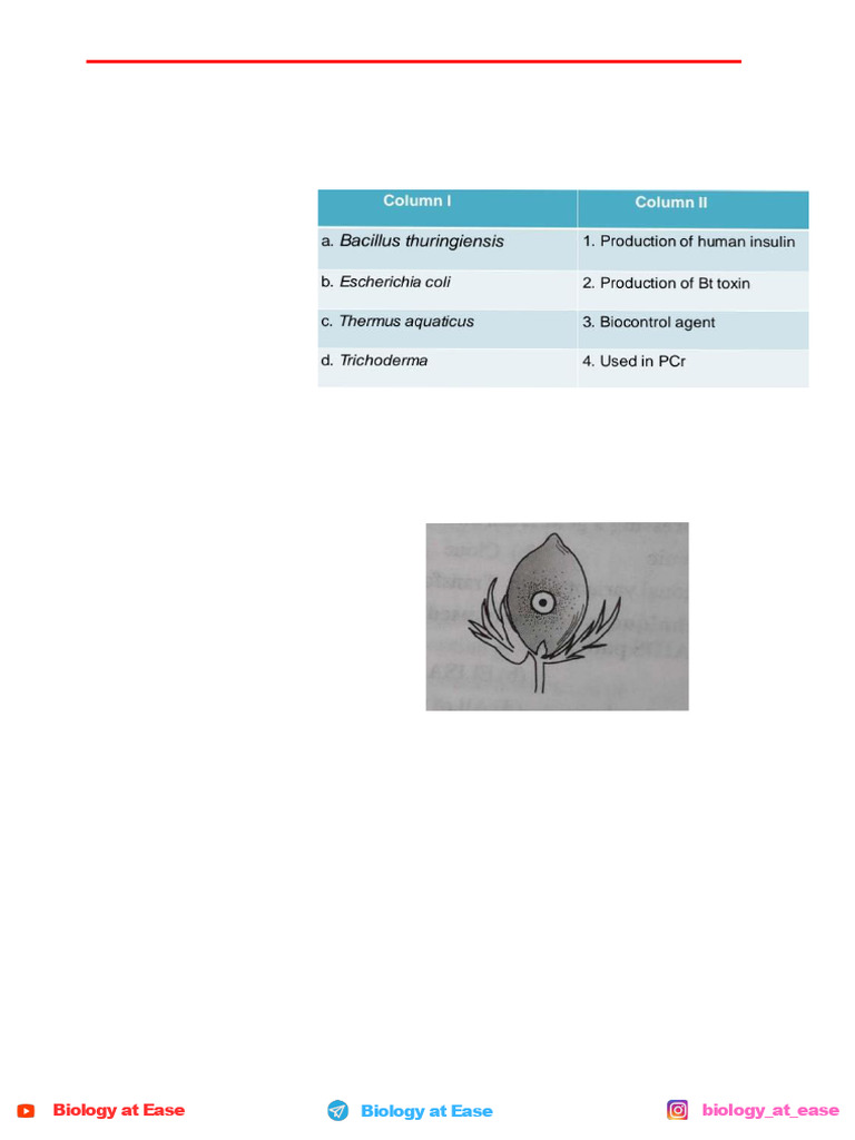 Biology Mock Test: Biotechnology Concepts | PDF | Sense (Molecular ...